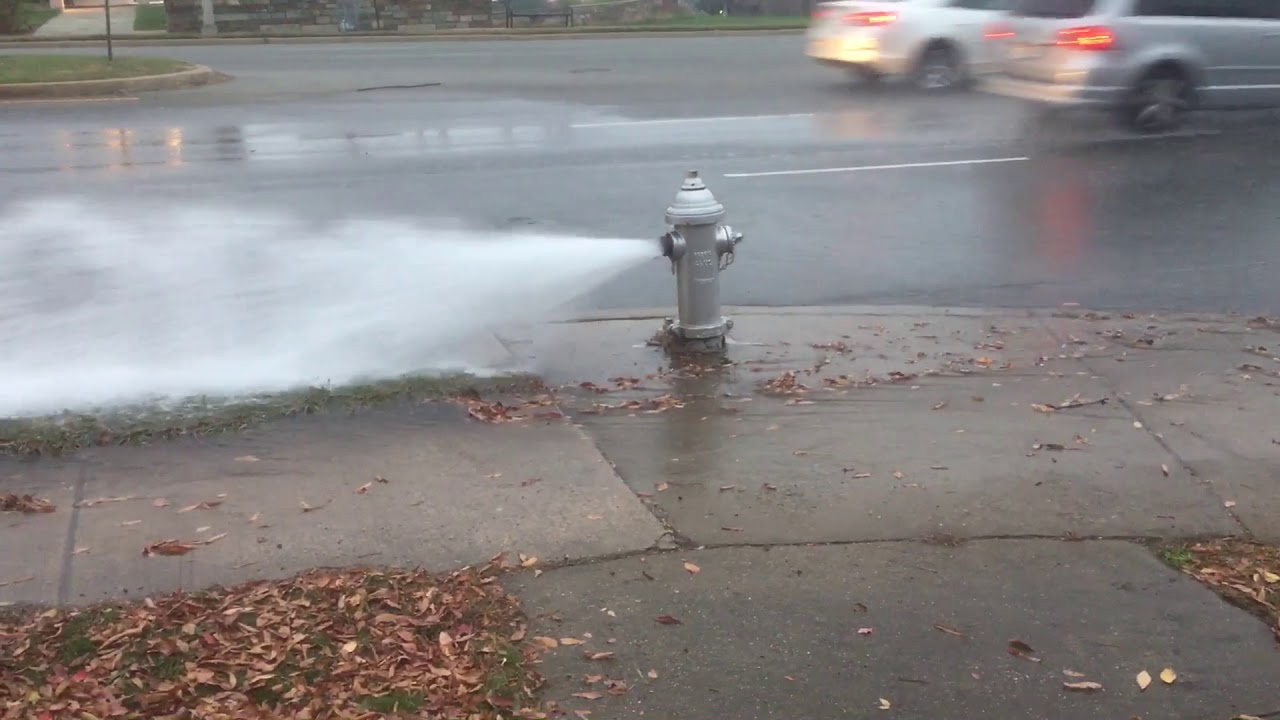 Who left the fire hydrant running? - YouTube