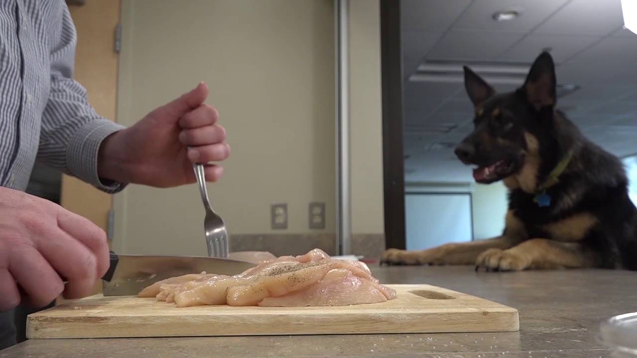 Cross Contamination - in the home. - YouTube