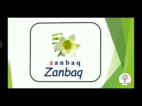 Z hərfi z səsi