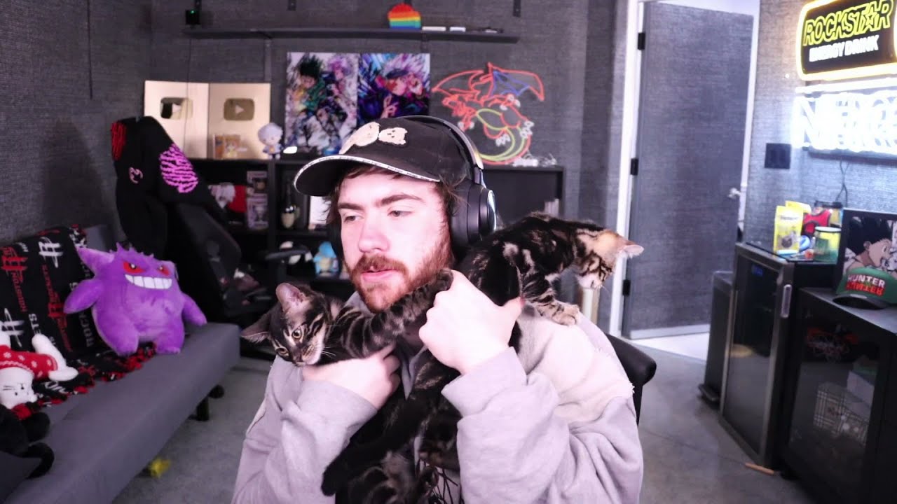 day in the life of a cat dad pt3 Sapnap Alt VOD (11/14/23) - YouTube