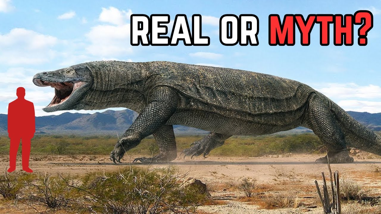 The Man-Eating Lizards That Ruled Prehistoric Australia - YouTube