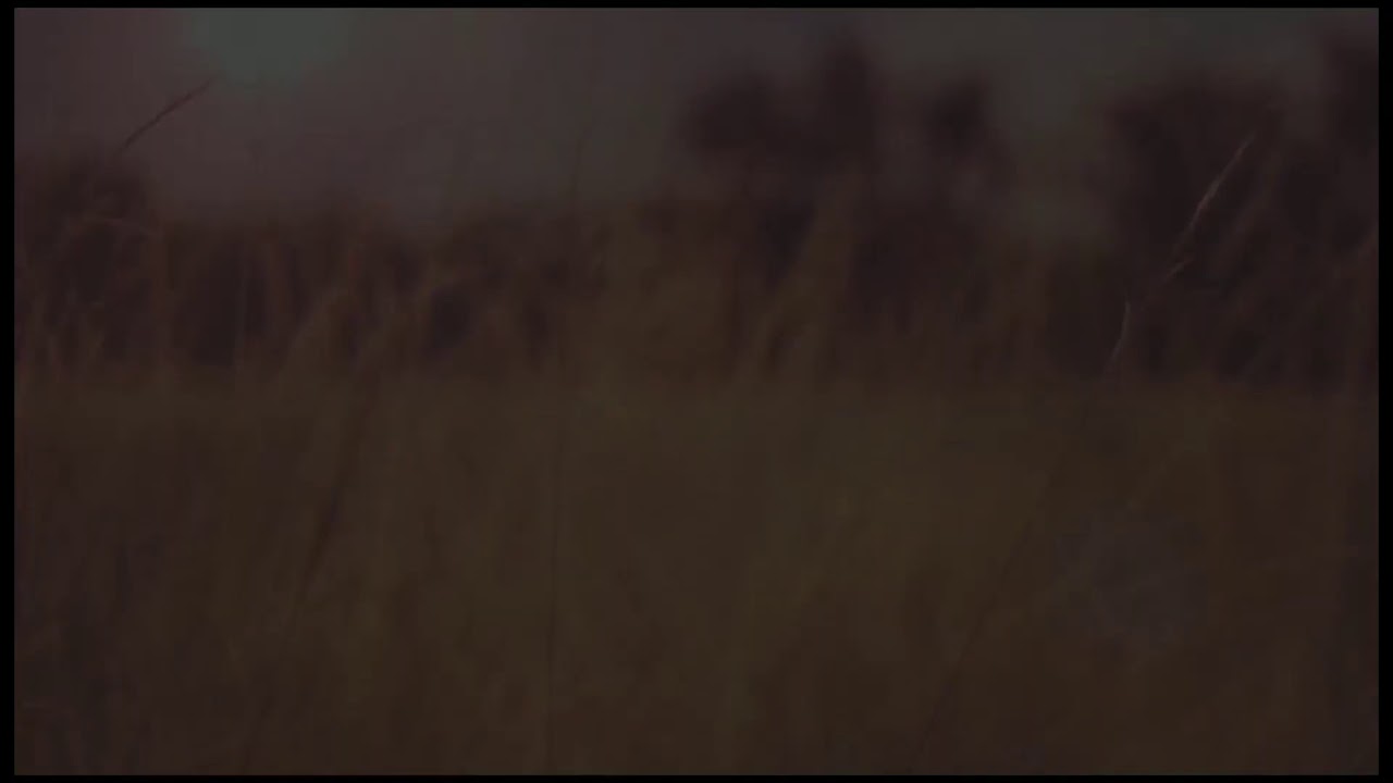 Bat Zion Messianic Congregation Live Stream - YouTube