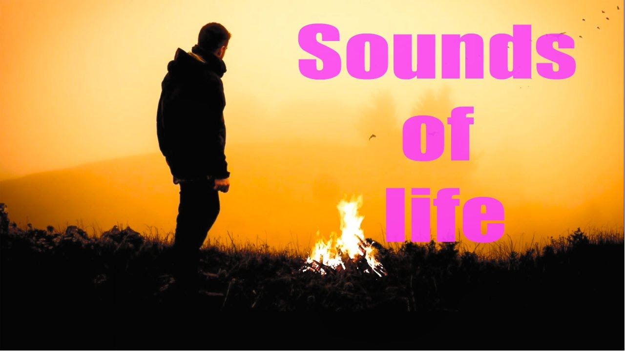 Sounds of life - YouTube