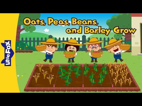 Poem 3 Oats And Beans And Barley Grow From CORDOVA Class 2 - YouTube