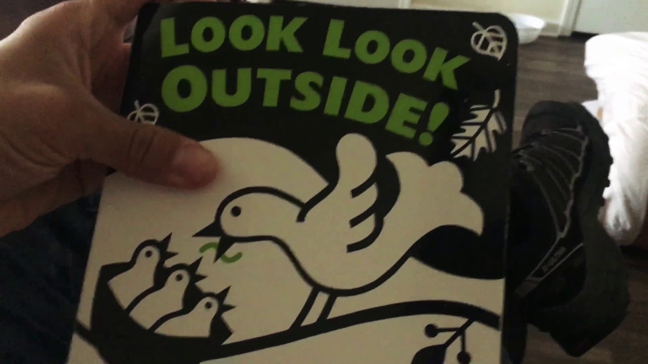 Look Look Outside! Book - YouTube