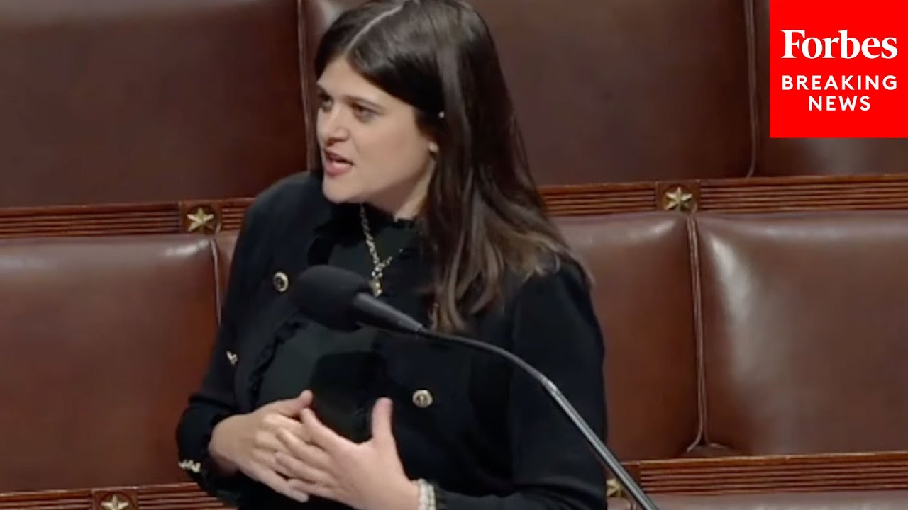 MUST WATCH: Haley Stevens Delivers Epic Speech About Present And Future ...