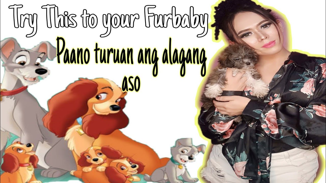 Paano Turuan ang alagang aso | Basic Tricks na Pwedeng ituro sa aso ...