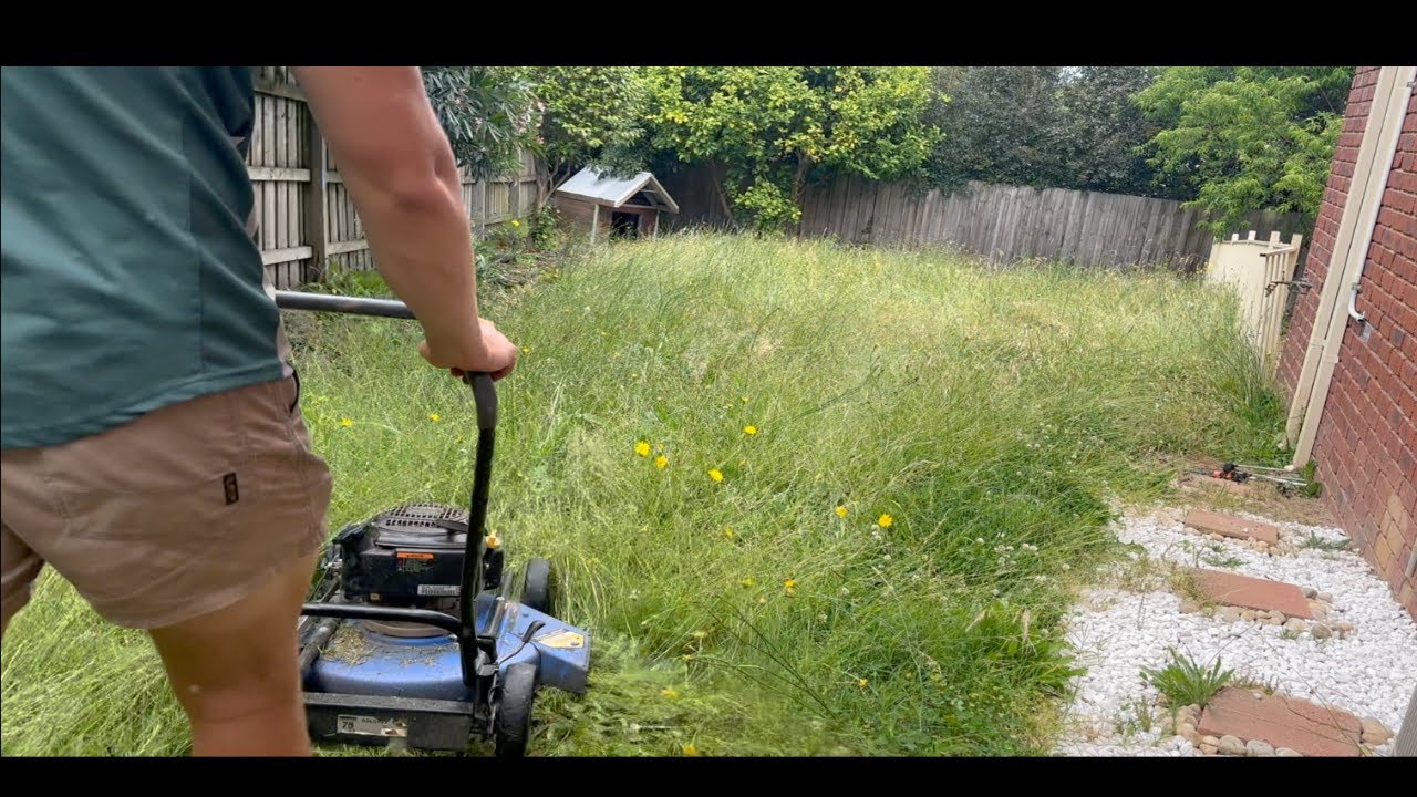 SATISFYING Lawn Mowing Tall Grass - Part 2 - YouTube