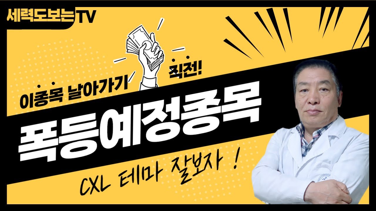 폭등예정주 소개 엑시콘인터플렉스테크윙큐알티네오셈제주반도체와이아이케이이랜시스유니트론텍이수페타시스오킨스전자종목