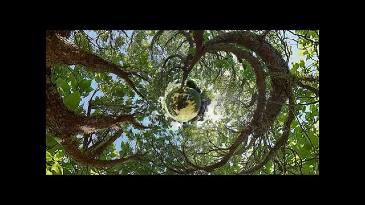 fantastic photo by Evan Sharboneau - YouTube