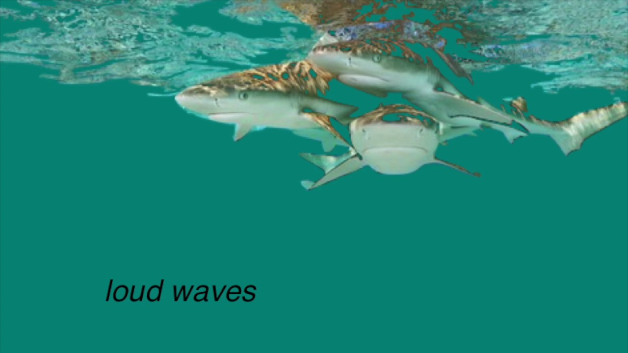 Loud Waves - YouTube