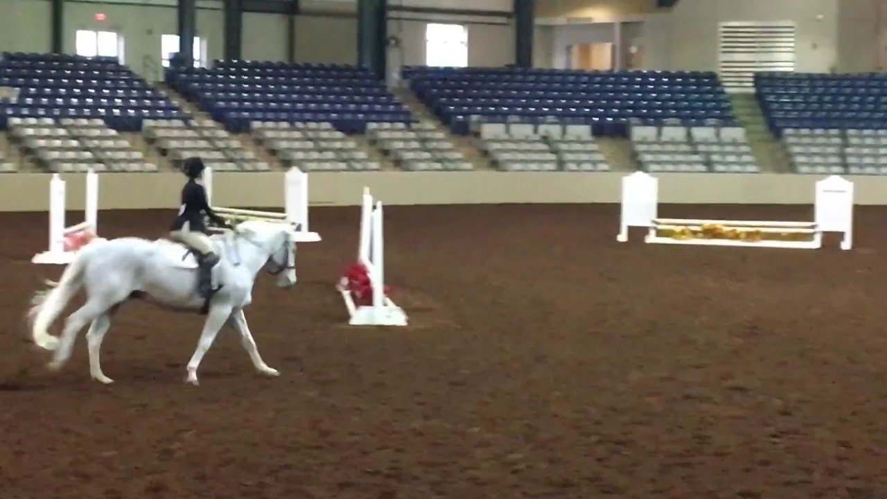 2016 IEA Zone 4 Region 2 Finals - YouTube