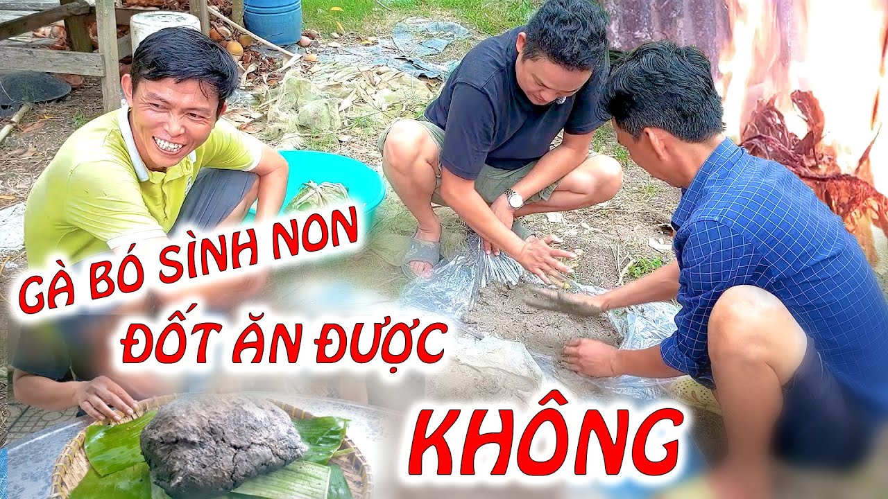 Gà Bó Bùn Non ( Sình Non ) Món Ăn Độc Lạ Chưa Từng Ăn - Vũ Lê Channel ...