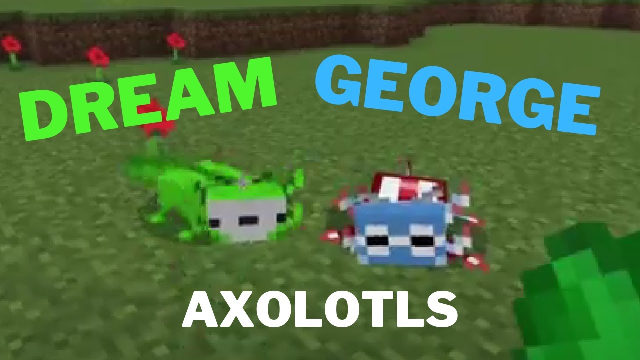 I made Dream, George, Sapnap and Karl as axolotls in Minecraft - YouTube