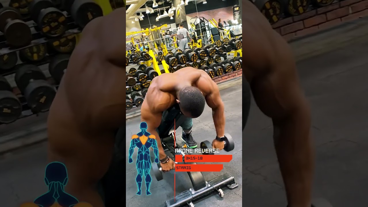 Reverse Dumbbell Fly Muscles Worked Dumbbell Back Exercises | Mirafit