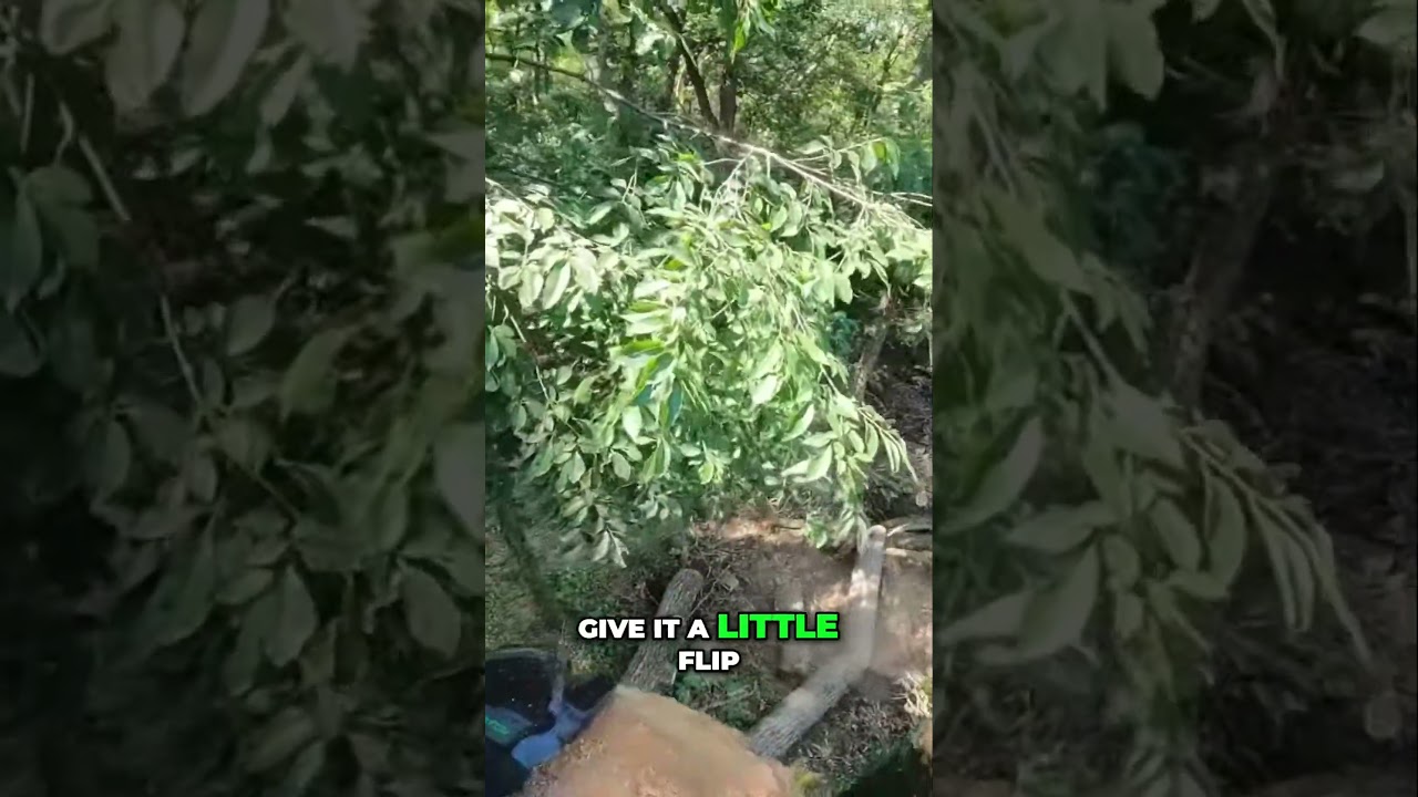 Synthetic Cabling & Chafe Sleeves – Game of Trees