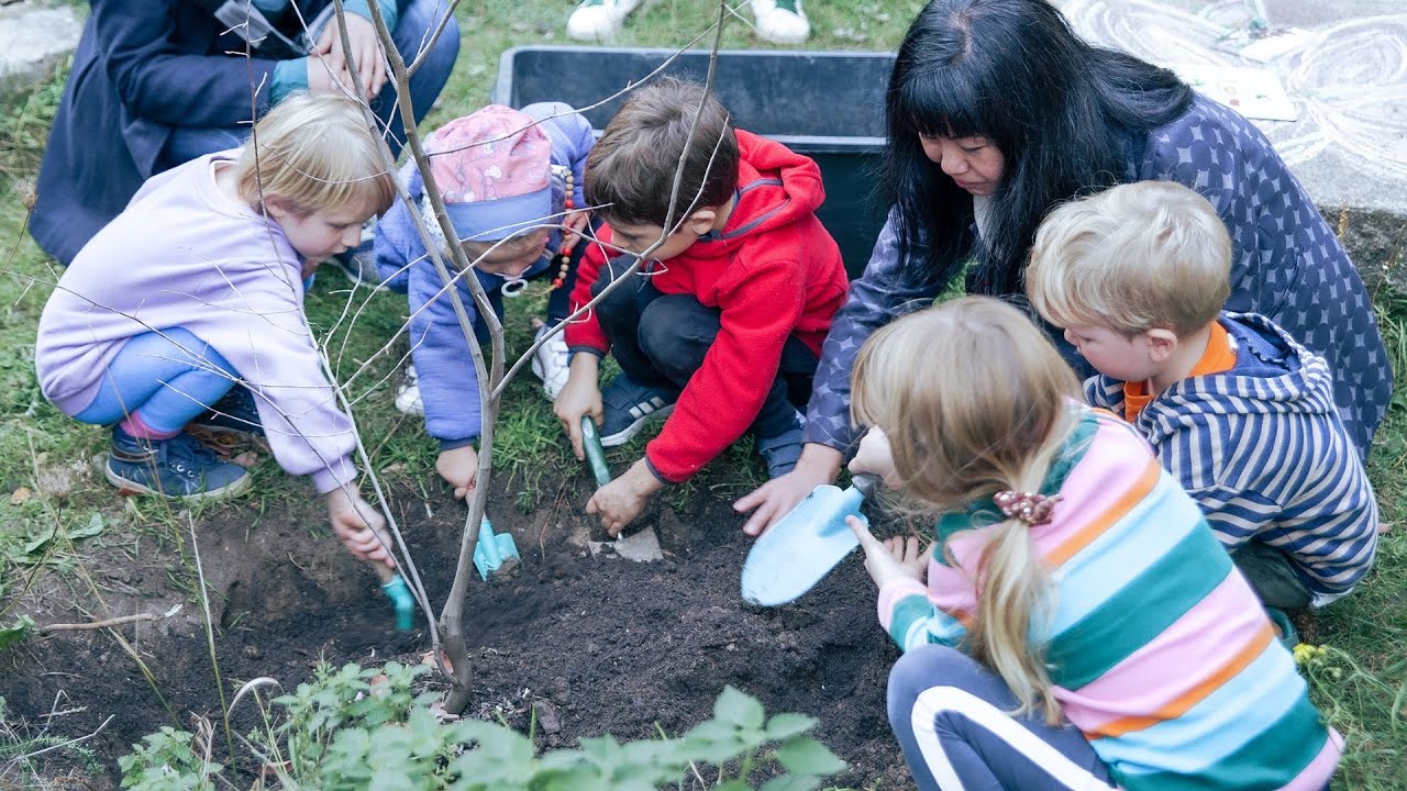 The Diaper Cycle - from baby diaper waste to soil to trees - YouTube