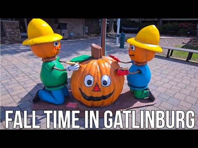 Fall Time Memes 21 Hilarious Fall Memes To Crack You Up When The