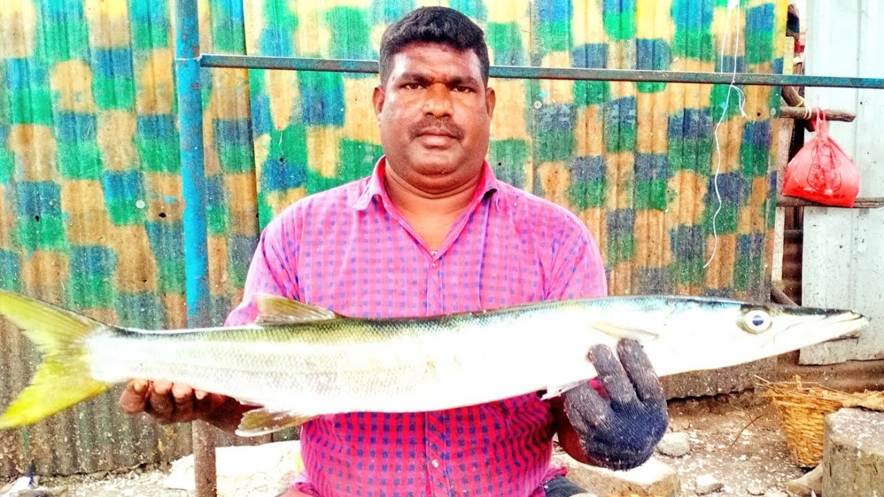 KASIMEDU🔥RAJA | SHEELA | FISH | CUTTING | VIDEO | IN | RJ MEENAVAN # ...