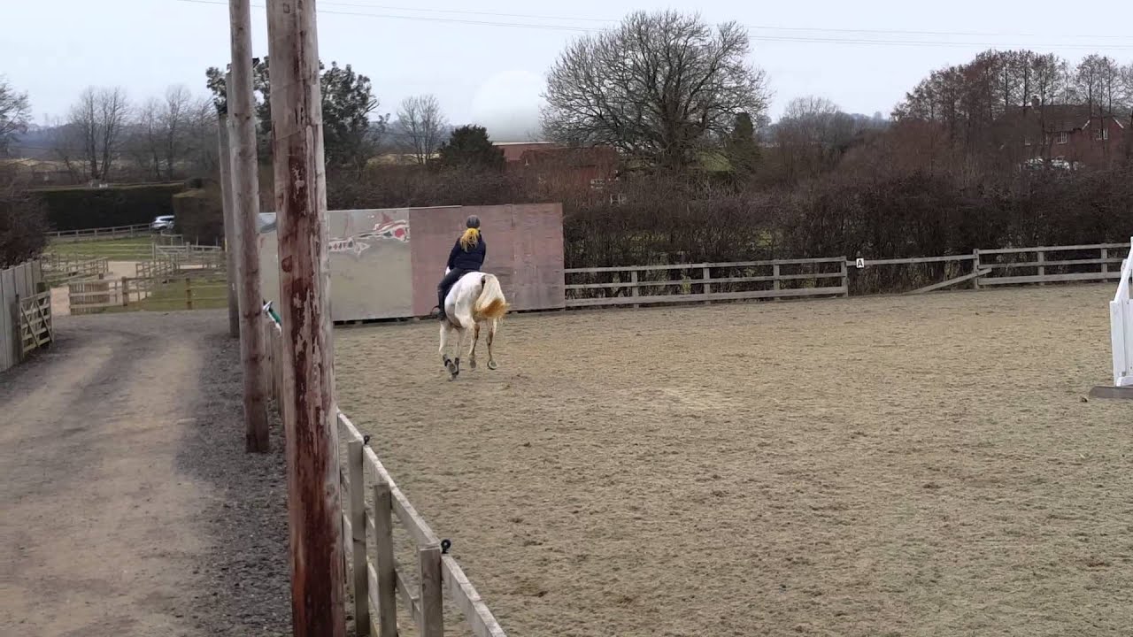 Marsh Ponies with Harley jumping - YouTube
