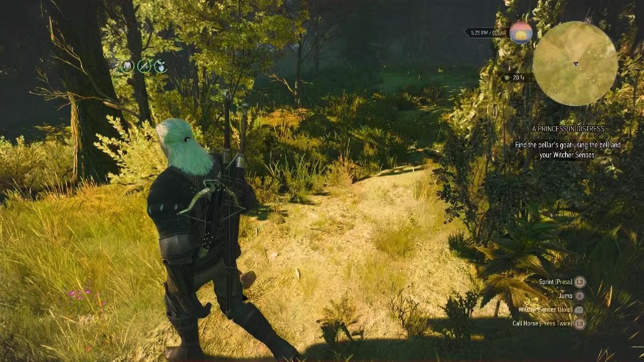 The Witcher 3: Wild Hunt - A princess A goat And Rats Blood - YouTube