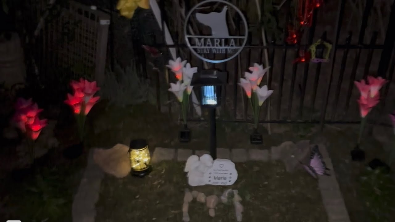 Marla’s grave - YouTube