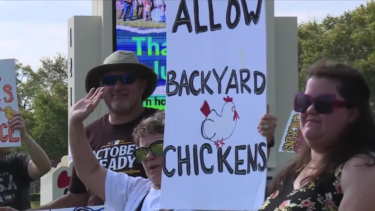 Protesters seek to allow backyard chickens in Port St. Lucie - YouTube
