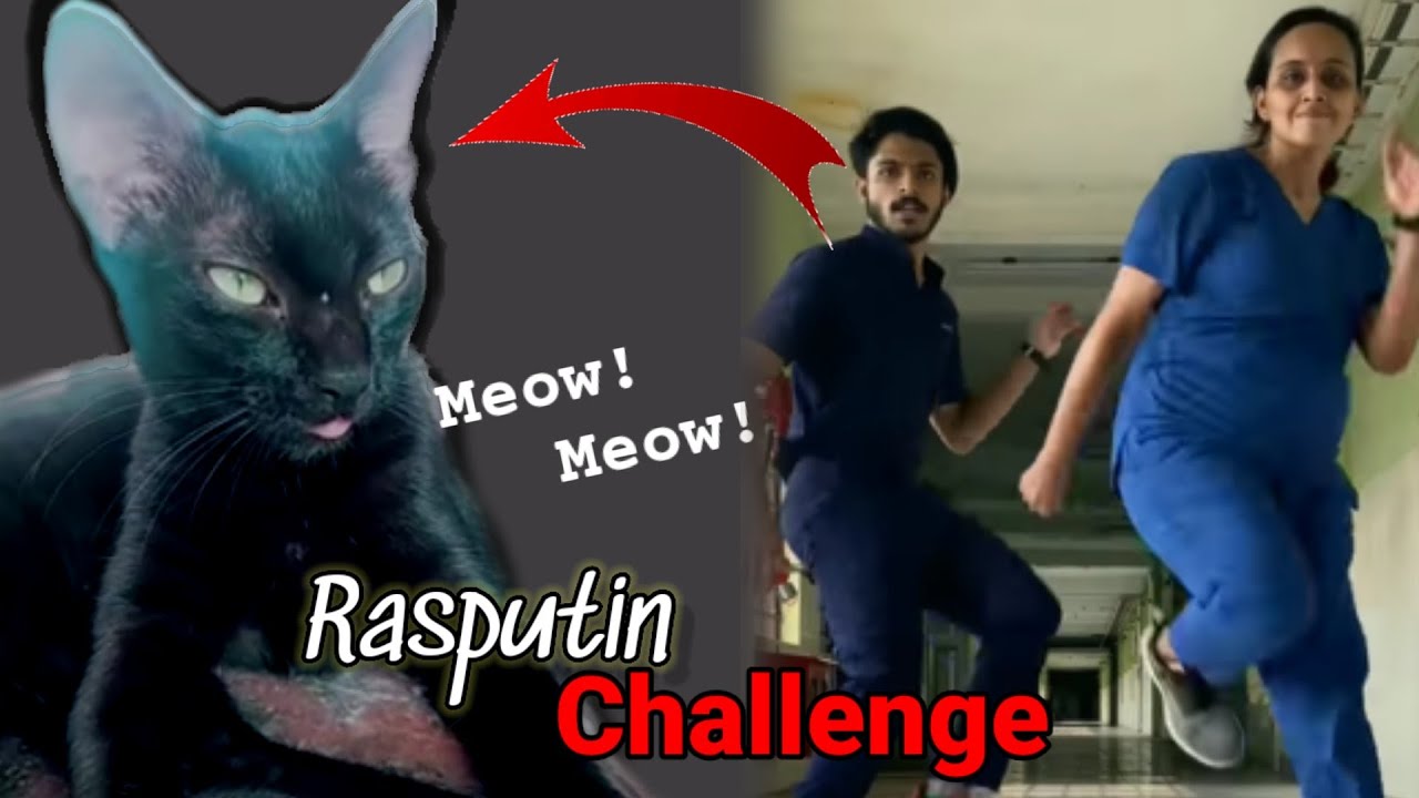 Rasputin Dance CHALLENGE CAT Version - YouTube