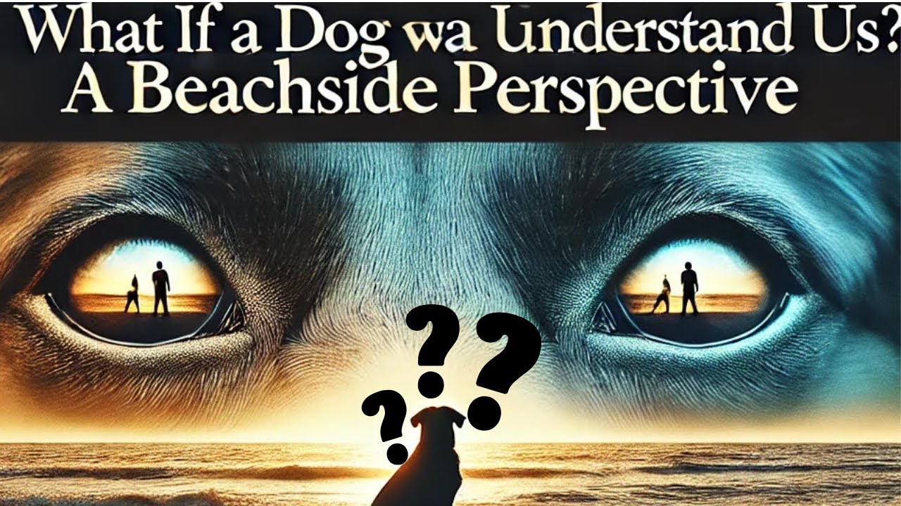 What If Dogs Could Understand Us This Story Will Change Your View - YouTube