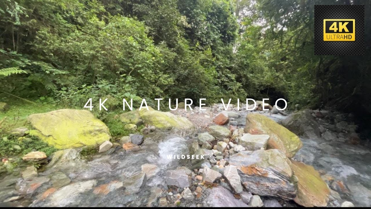 Relaxing Forest Stream: 4K Beautiful stream relaxing video - YouTube