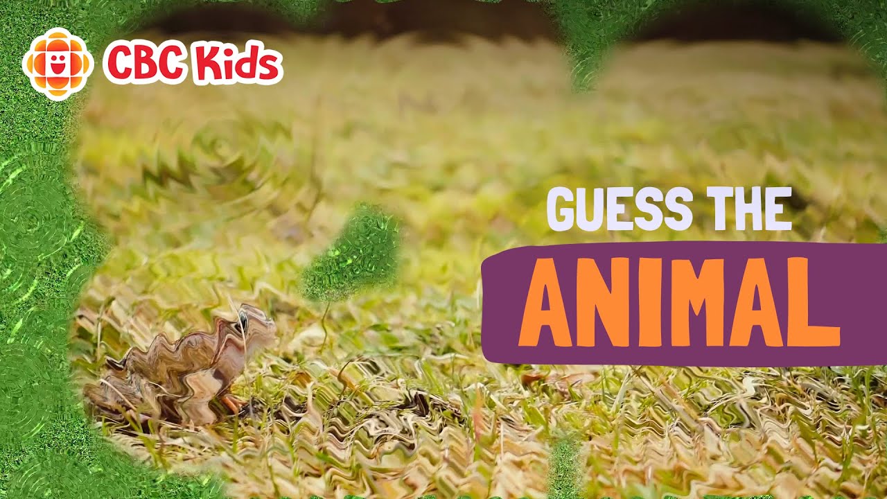 What Hoppy Green Animal Is This? | CBC Kids - YouTube