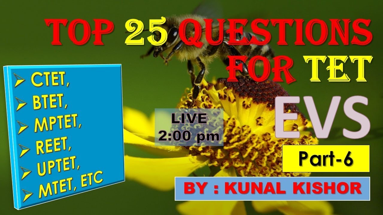 EVS (Part-6) For TET | Top 25 Ques For TET CTET, BTET, MPTET, REET, UPTET, MTET - YouTube