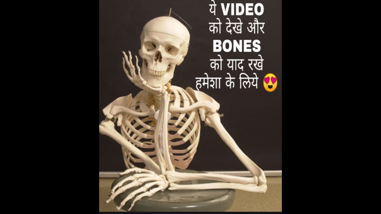 Trick For Remembering All Bones In Body Bones EASILY Trick For Remembering All Bones In Body Bones EASILY