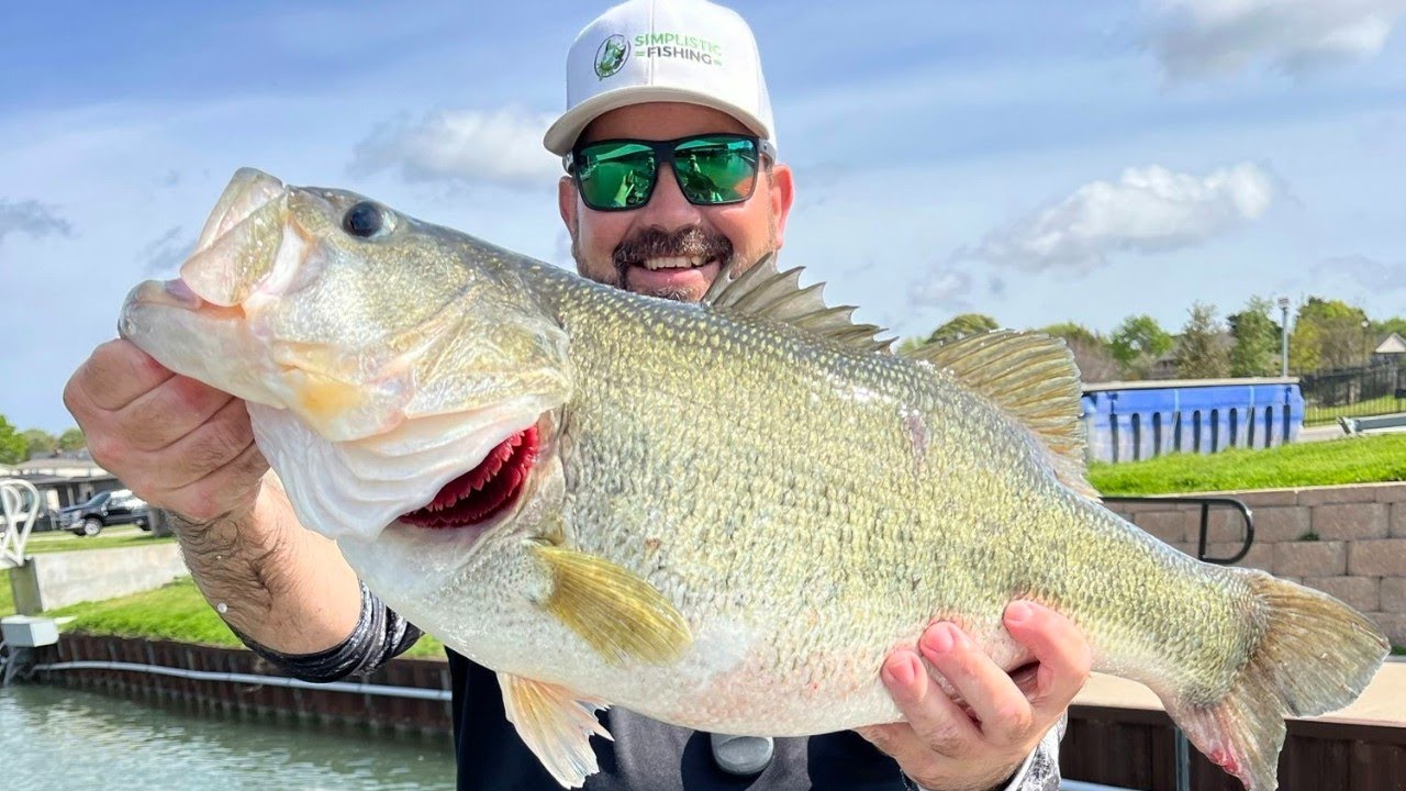 12 POUNDER - Giant Bass - This is a MUST SEE!!! - YouTube