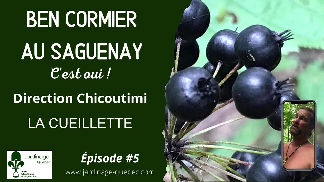 BEN CORMIER AU SAGUENAY ÉPISODE 5 - UNE CUEILLETTE À CHICOUTIMI - YouTube