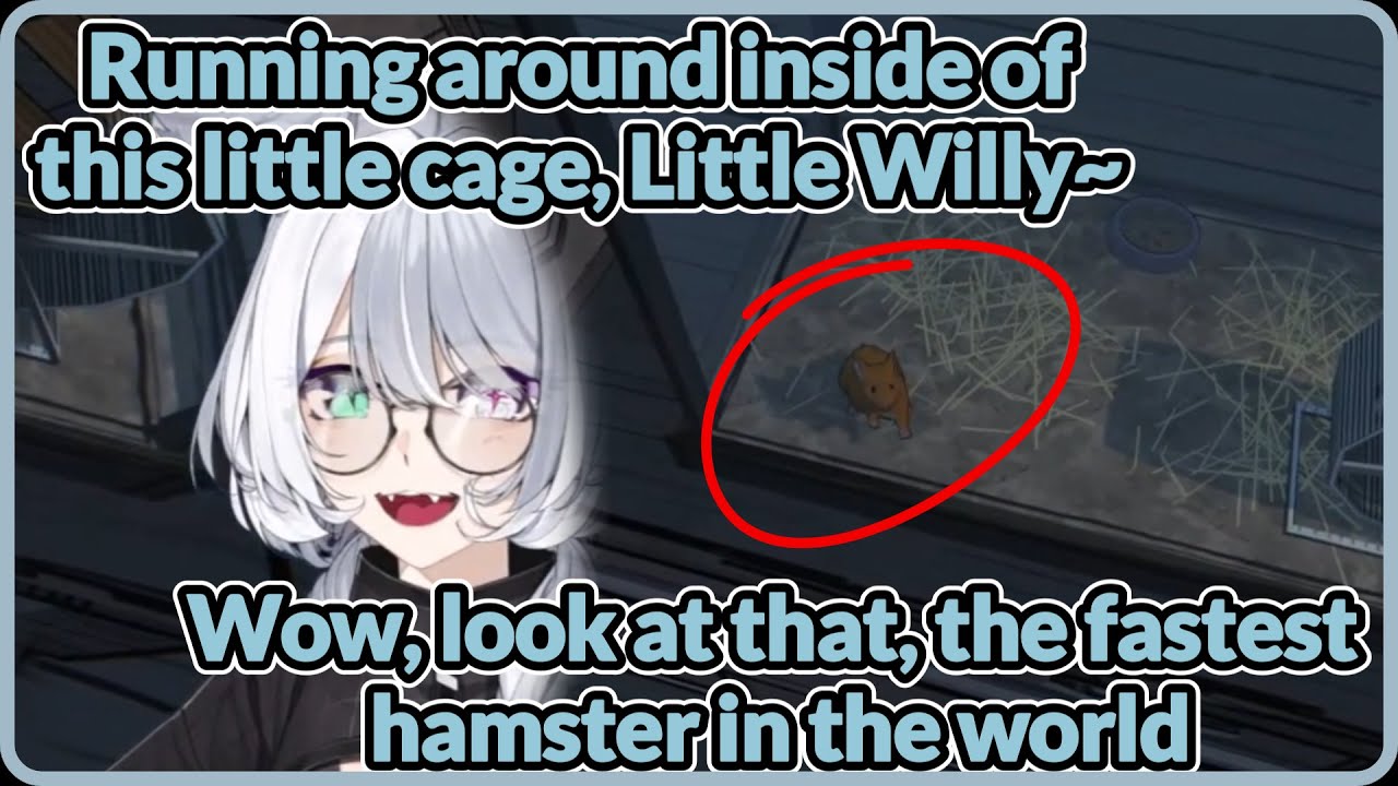 Meet Elira's new Hamster, Little Willy, The fastest hamster in the ...