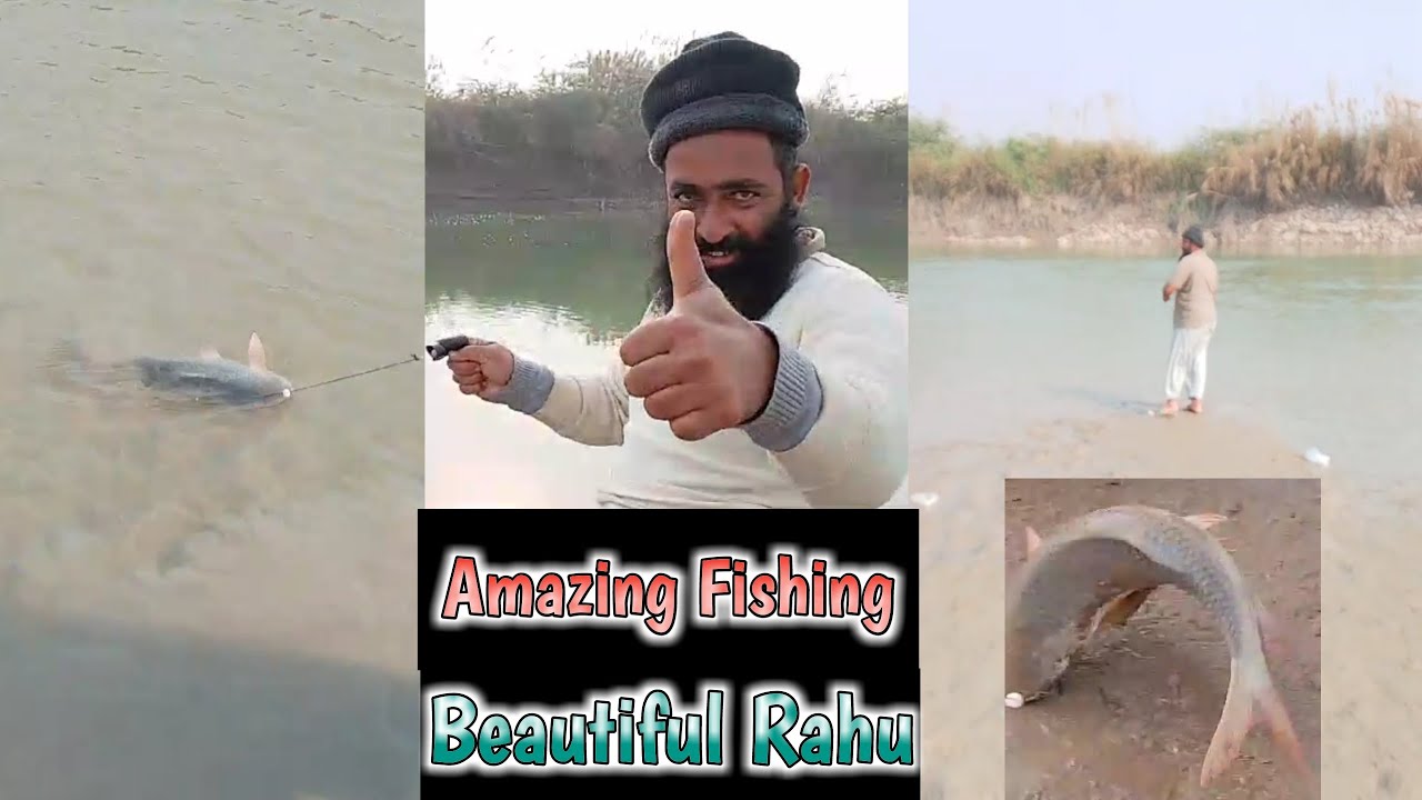 Fishing | Amazing fishing catch beautiful rahu fishes | @FISHING_INFO - YouTube