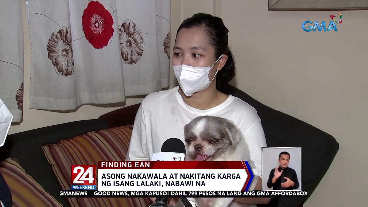 Asong nakawala at nakitang karga ng isang lalaki, nabawi na | 24 Oras ...