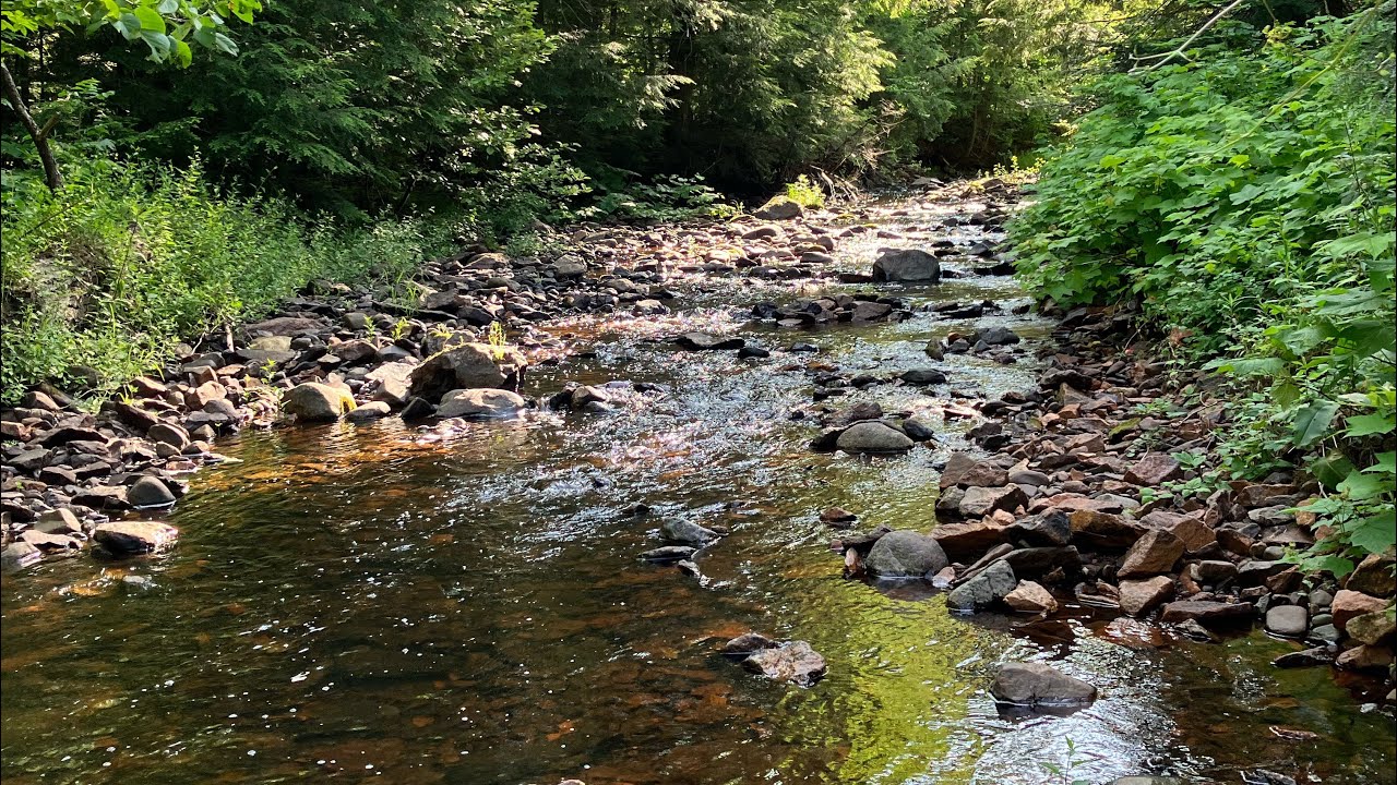 Upper Peninsula Brook Trout Fishing Part 2 | Michigan Brook Trout - YouTube