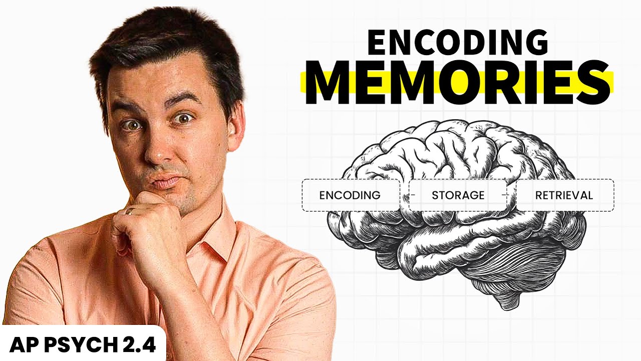 Encoding Memories (AP Psychology Review Unit 2 Topic 4) - YouTube
