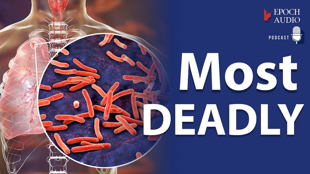 Tuberculosis Surpasses COVID-19 as Most Deadly Infectious Disease - YouTube