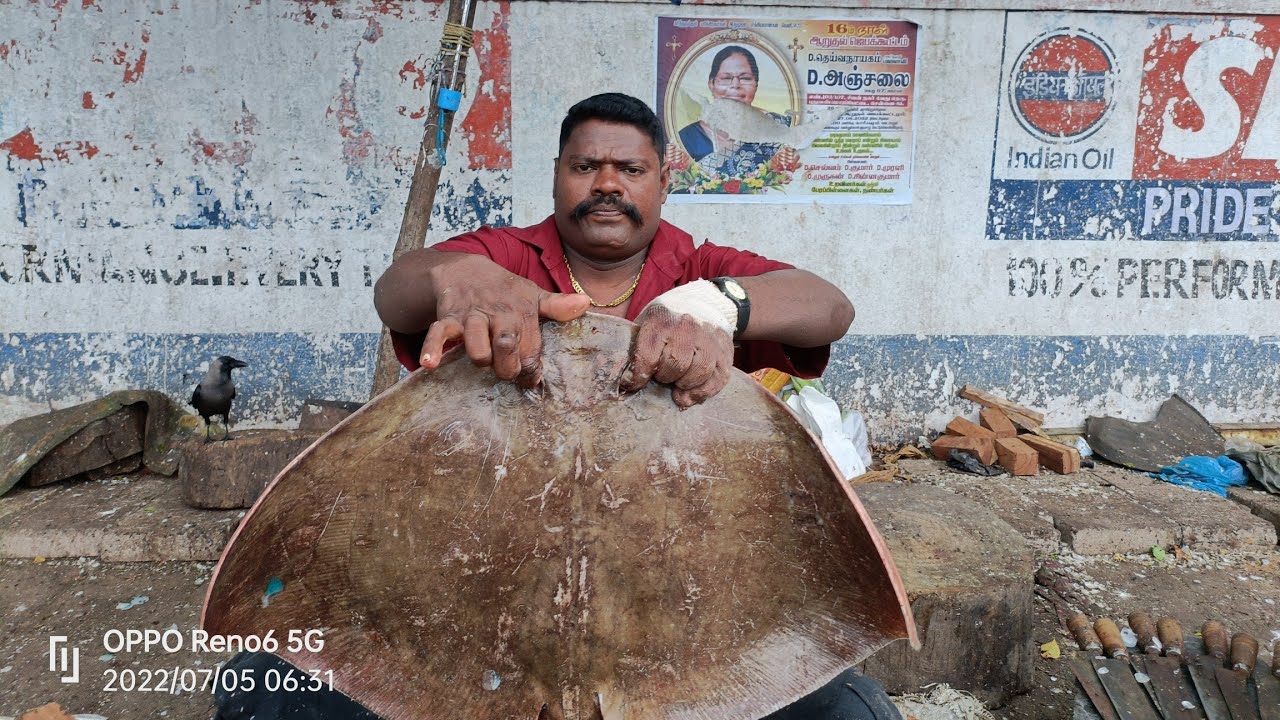 July 7, 2022 kasimedu selvam chappa Thiruka fish cutting - YouTube