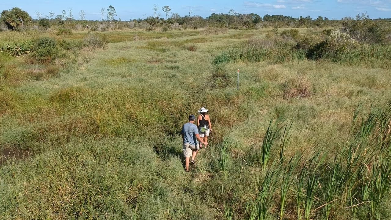 Exploring Southwest Florida's Freshwater Marsh Habitats - An FMNP Final ...