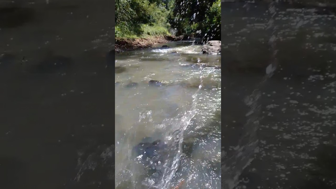 Refreshing River Theraphy #river #peace - YouTube
