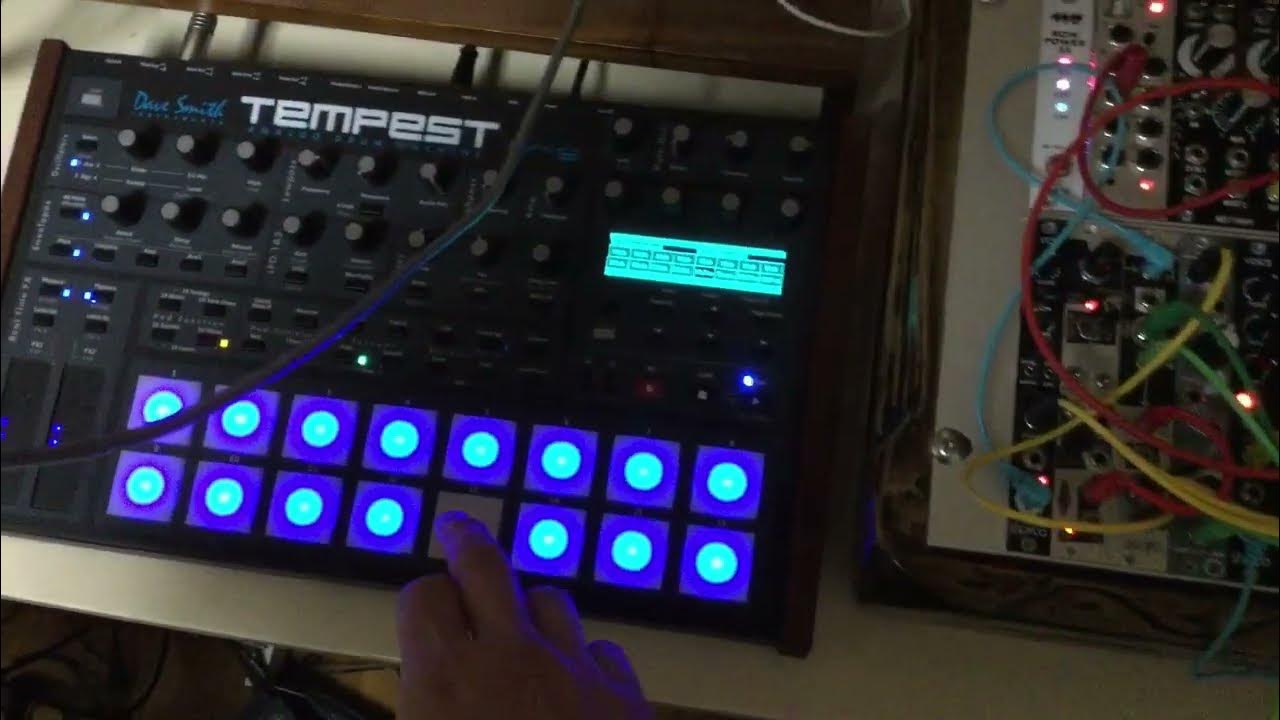 dave smith TEMPEST & modular synth minimal jam [modular ethnic] - YouTube