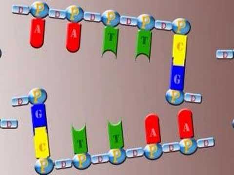 TPE police scientifique *3* - YouTube