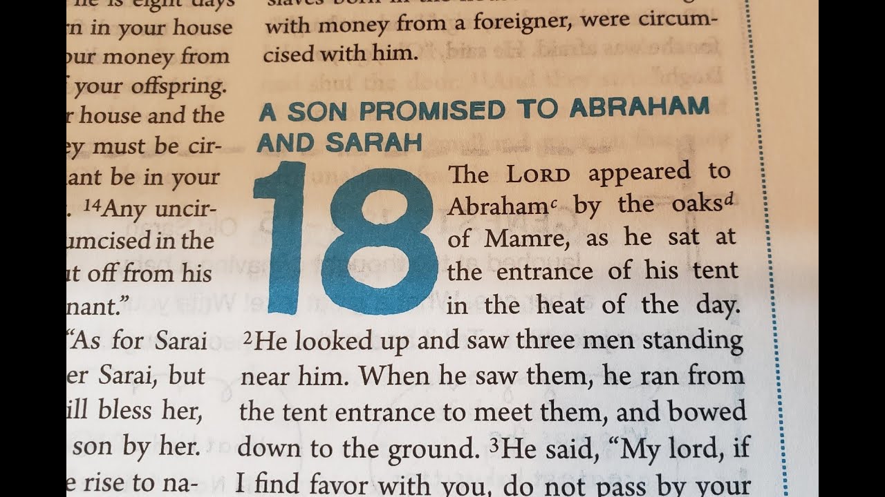 E100 Bible Talk for Stories #35-#38: King David, David and Bathsheba ...