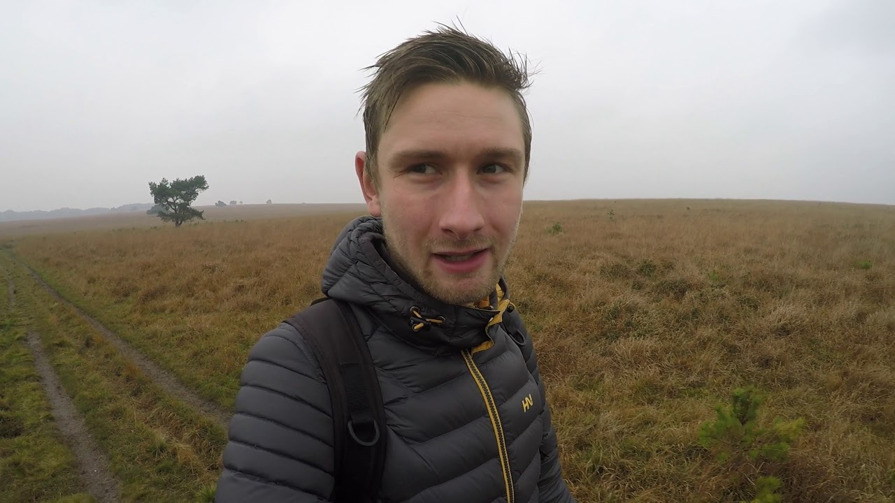 Vlog #20: Ree, Edelhert of Damhert? - YouTube