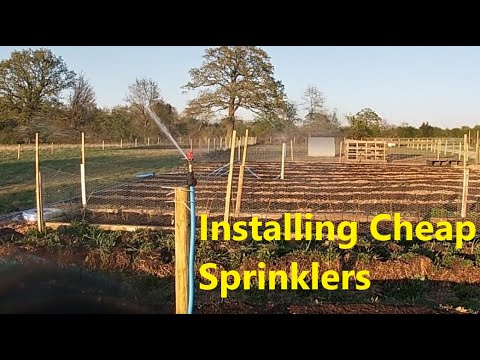 Installing a cheap Sprinkler Irrigation System - YouTube
