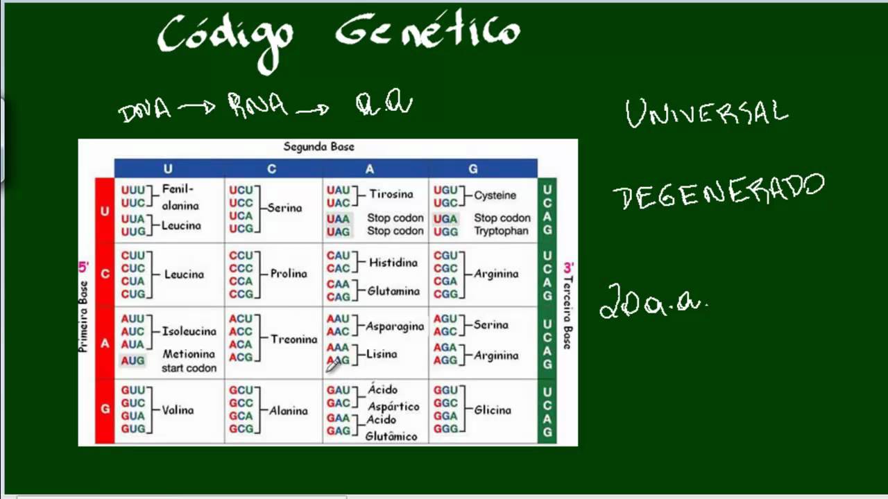 Código Genético - YouTube